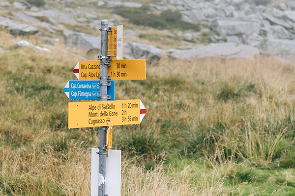 Marketing Automation Trends 2021 - CINTELLIC Consulting Marketing Automation Trends 2021 - CINTELLIC Consulting