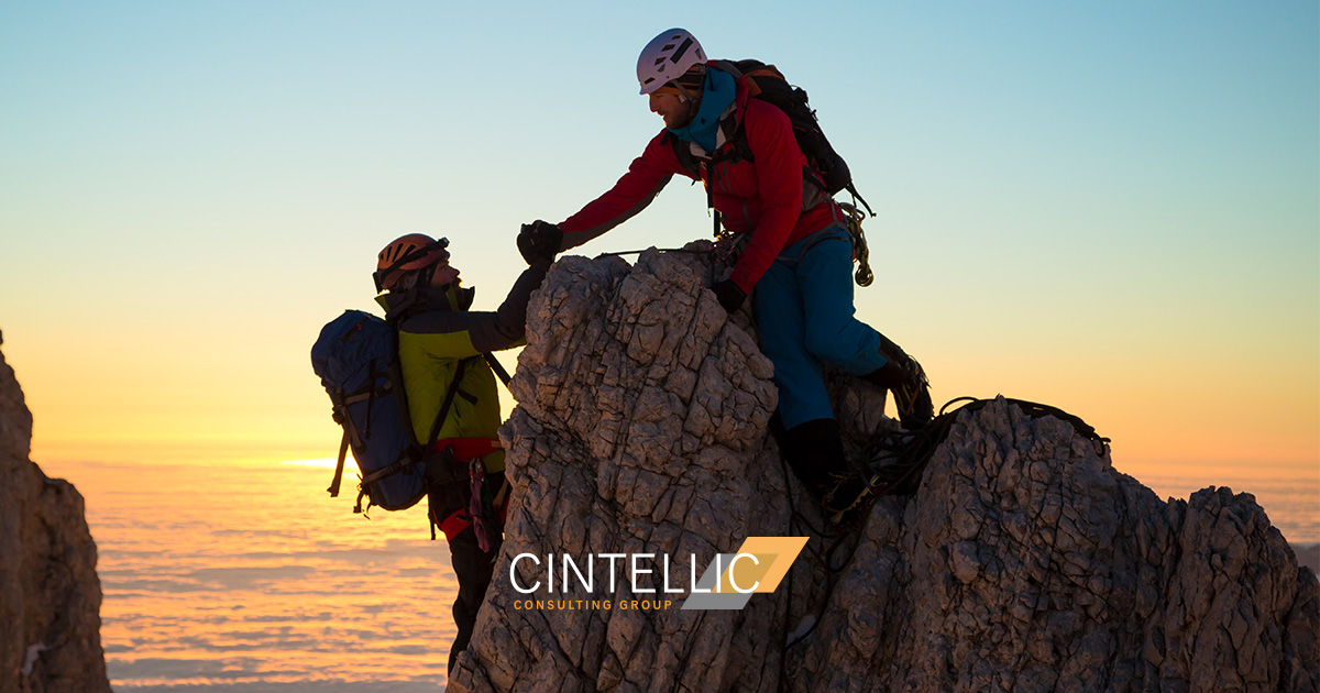 Marketing-Mix optimieren & ROI verbessern- CINTELLIC